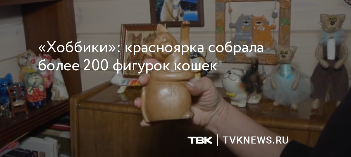 «Хоббики»: красноярка собрала более 200 фигурок кошек