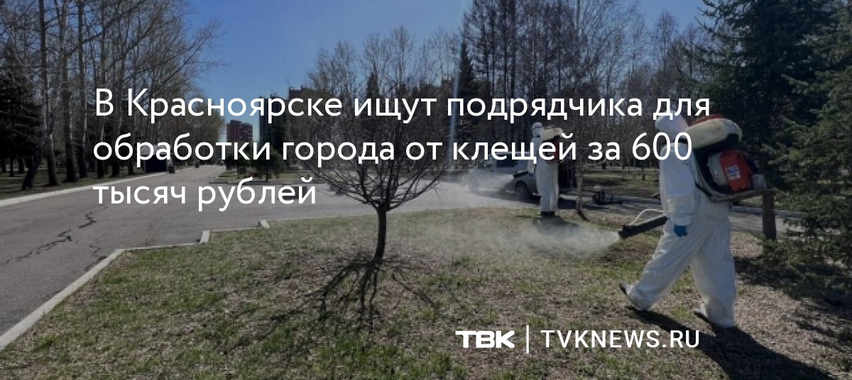 В Красноярске ищут подрядчика для обработки города от клещей за 600 ...