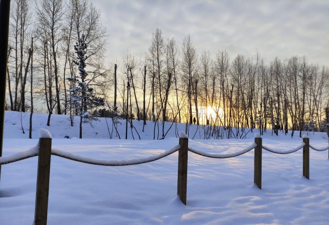 Температурные качели: в Красноярске резко потеплеет до -3°С
